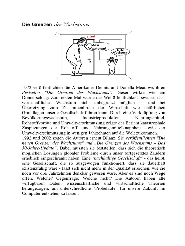 Die Grenzen Des Wachstums (2002) | PDF
