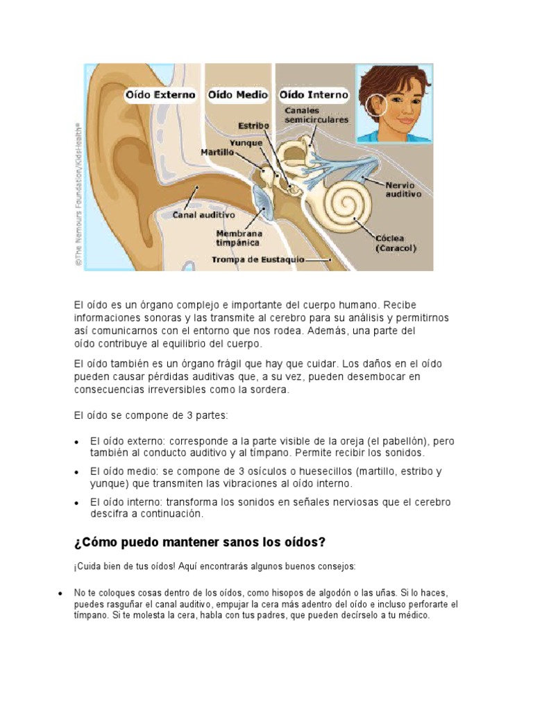 Cuida Tus Oídos: Guía Esencial | PDF | Escuchando | Oído