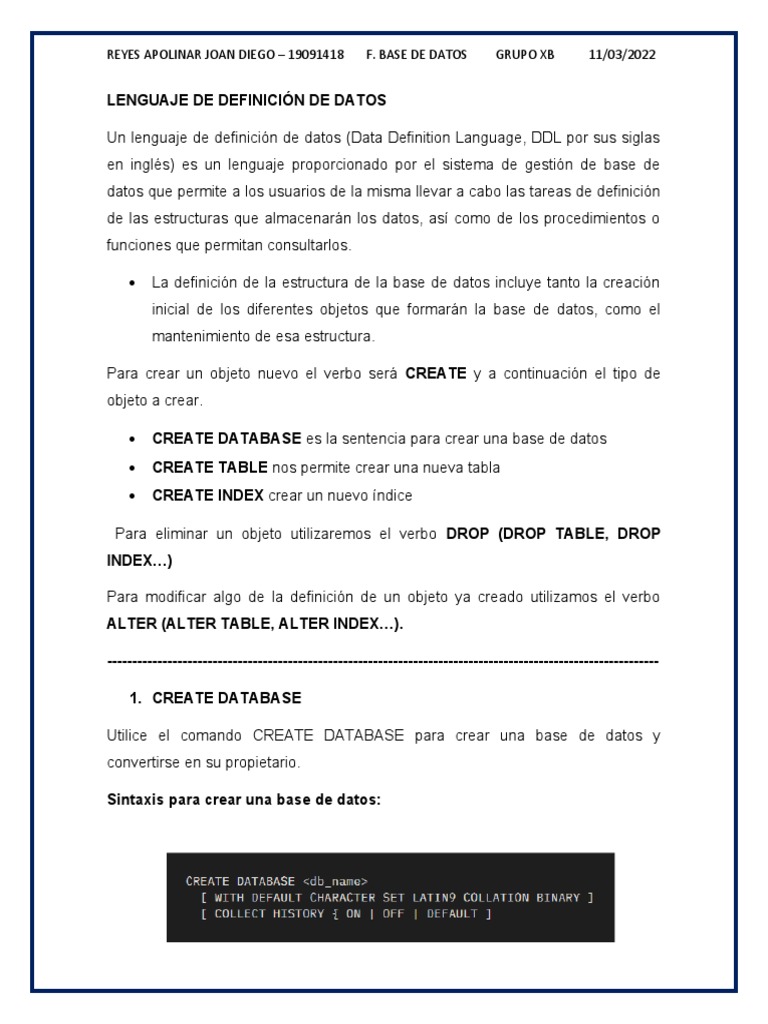 LENGUAJE DE DEFINICIÓN DE DATOS | PDF