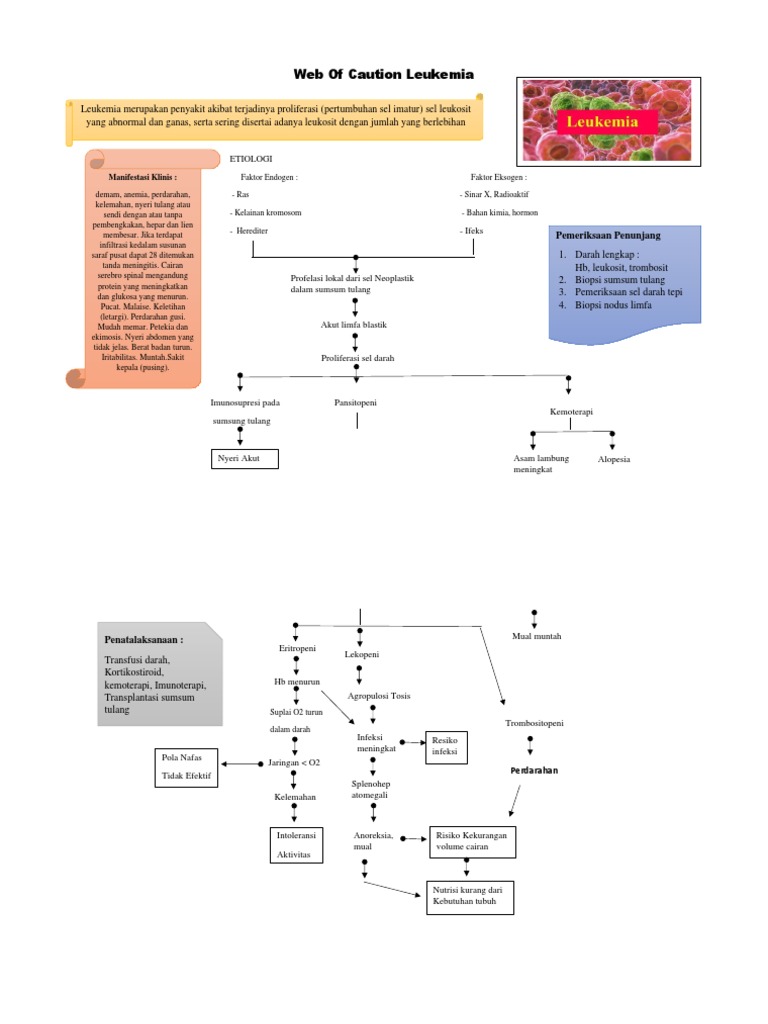 Web of Caution Leukemia: Etiologi | PDF