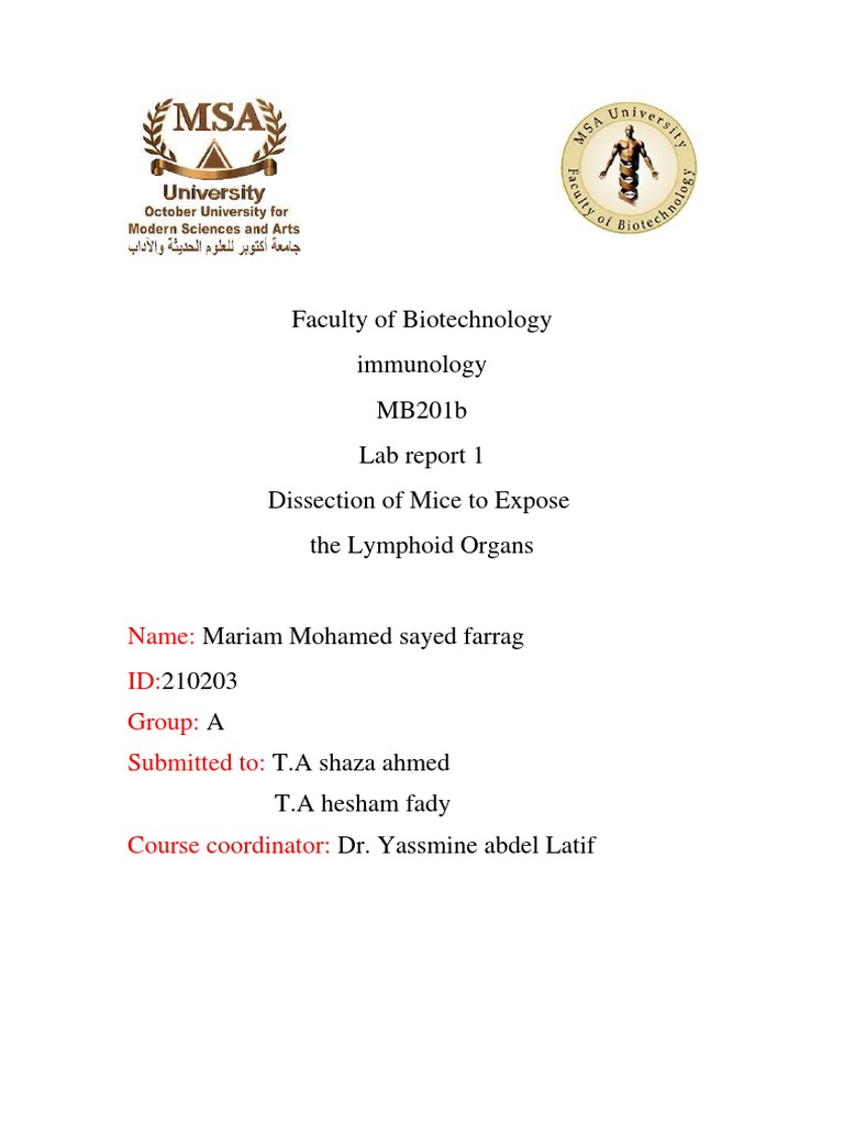 Lab Report 1 Immunology | PDF | White Blood Cell | Lymphatic System