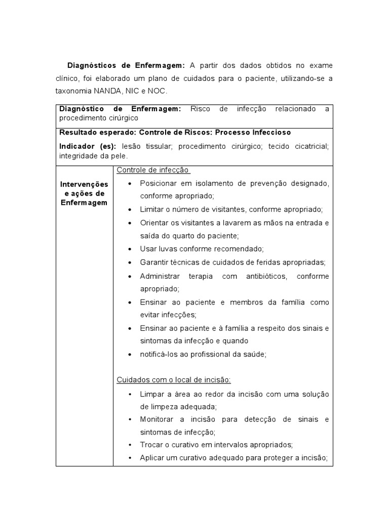 Modelo PE Nanda Nic Noc Estudo Caso | PDF