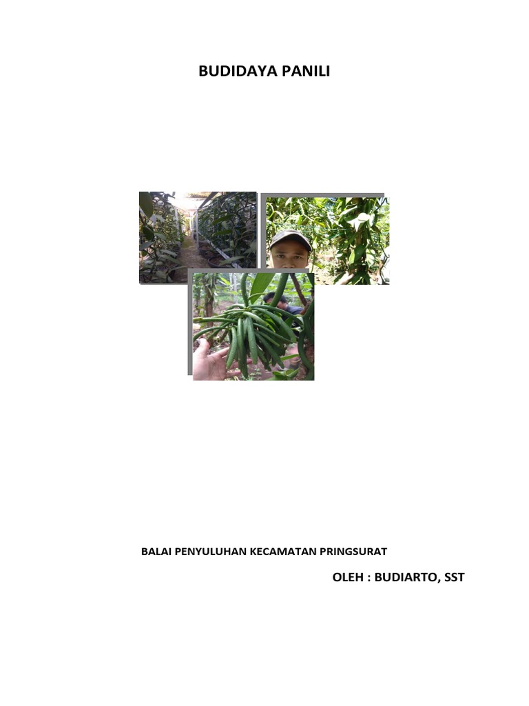 Budidaya Vanili | PDF