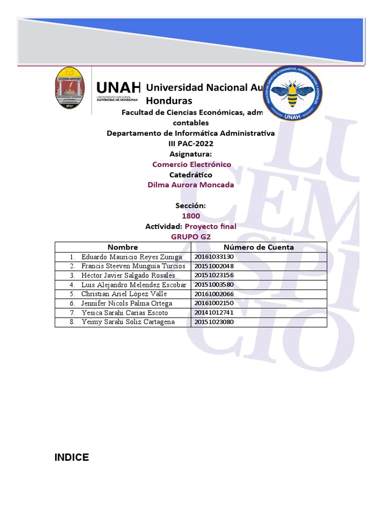 Proyecto Final Grupo G2 | PDF