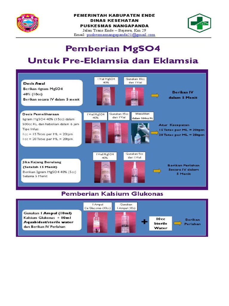 Bagan Pemberian MgSO4 | PDF