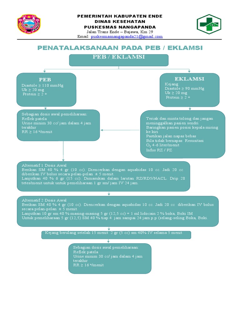 Penatalaksanaan Pada Peb / Eklamsi | PDF