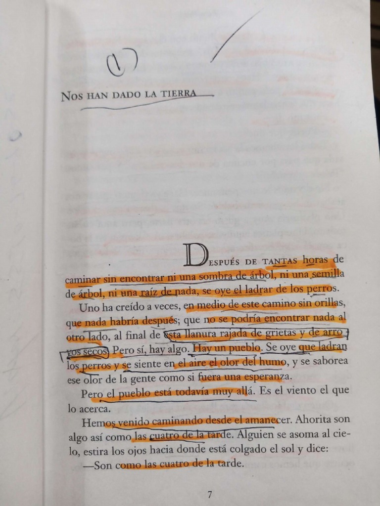El Llano en Llamas | PDF