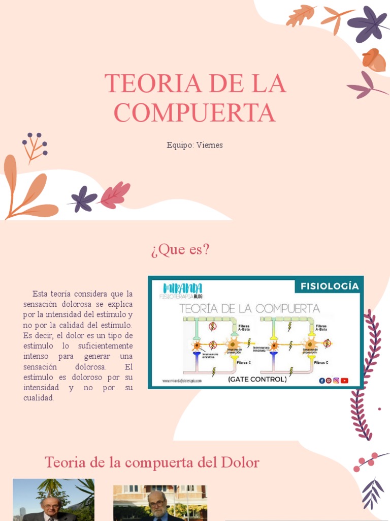 Teoria de La Compuerta: Equipo: Viernes | PDF | Dolor | Órgano (anatomía)