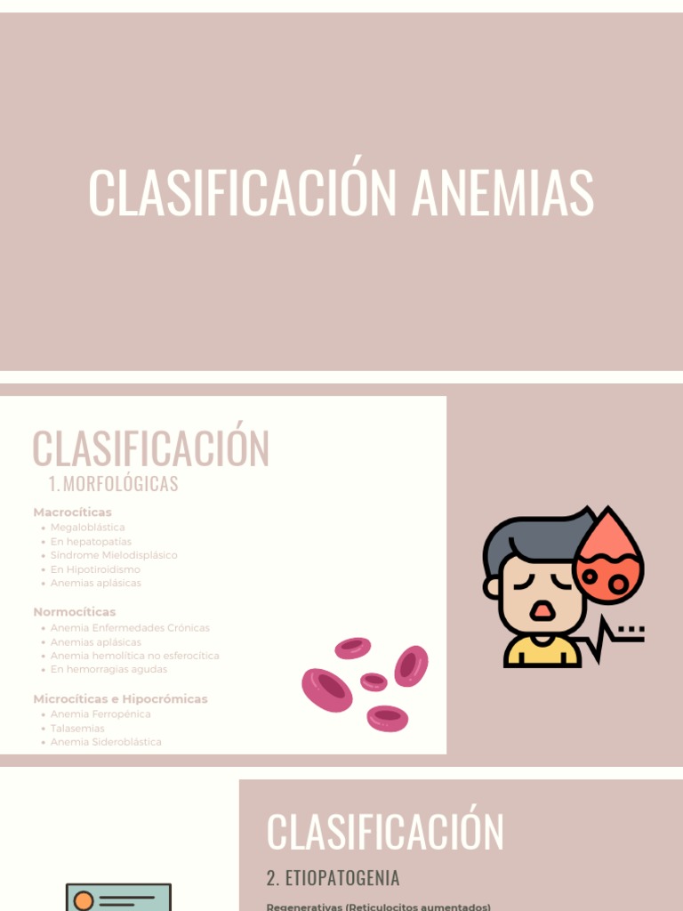 Clasificación de Anemias y Leucemias | PDF | Leucemia | Enfermedades y ...