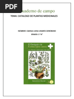 Informe 100 Plantas Medicinales Selva Peruana | PDF