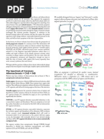 Clavus: Evaluation and Management Guide | PDF | Skin | Clinical Medicine