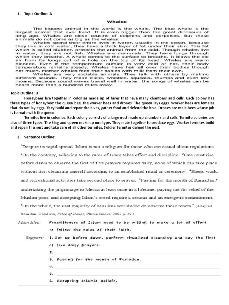 Outline Activity | PDF