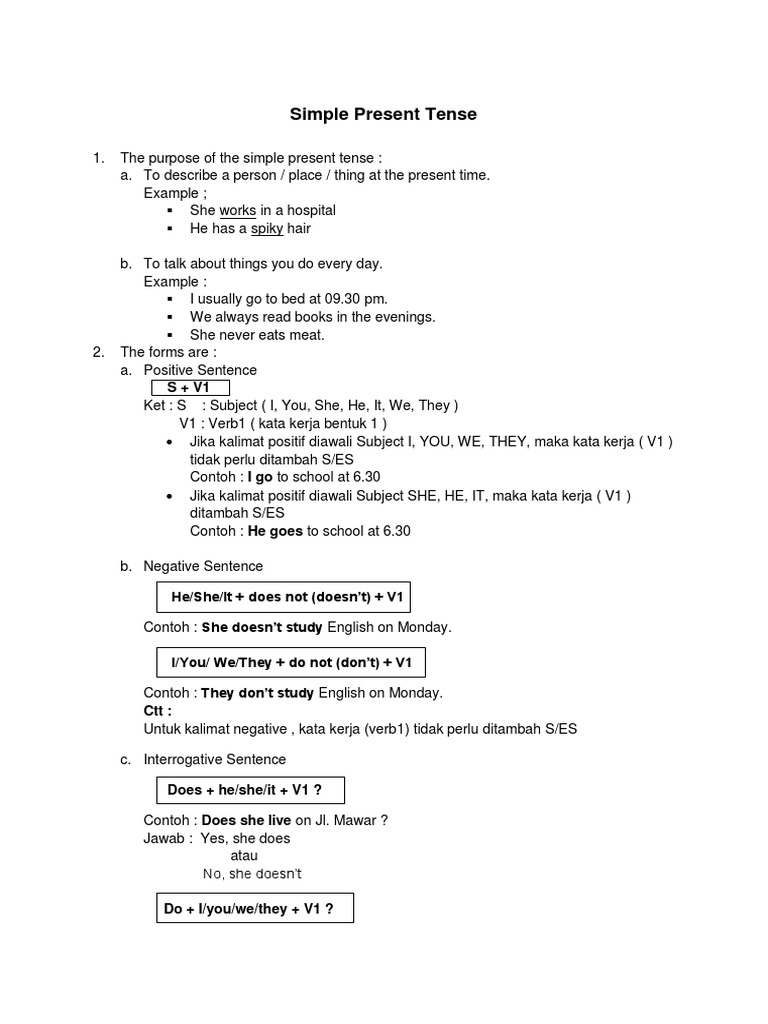 Simple Present Tense Overview | PDF