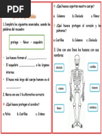 D3 A1 FICHA CT. Cuidado de Los Huesos | PDF | Hueso | Sistema musculoesquelético humano