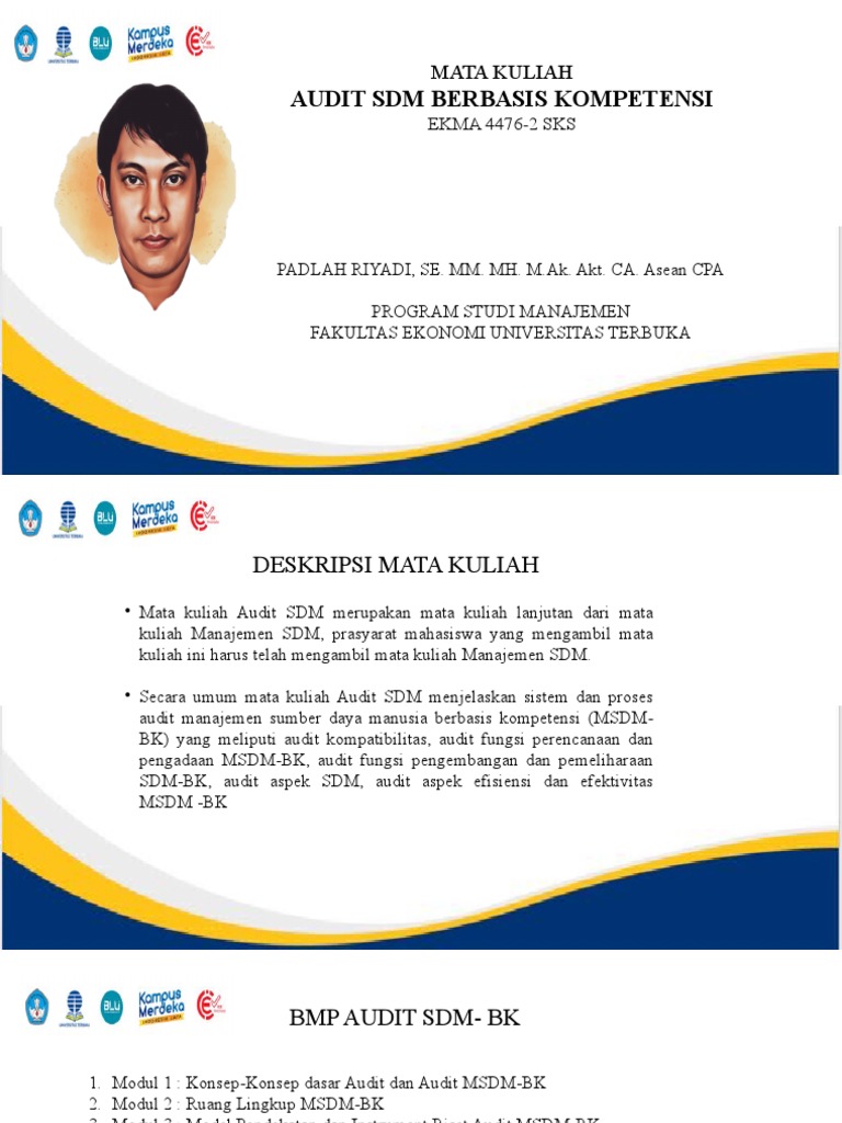 Presentasi Audit SDM | PDF