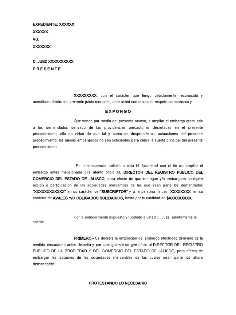 Ampliacion Embargo | PDF