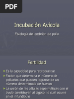Formacion Del Pollito Dentro Del Huevo | PDF | Embrión | Huevo