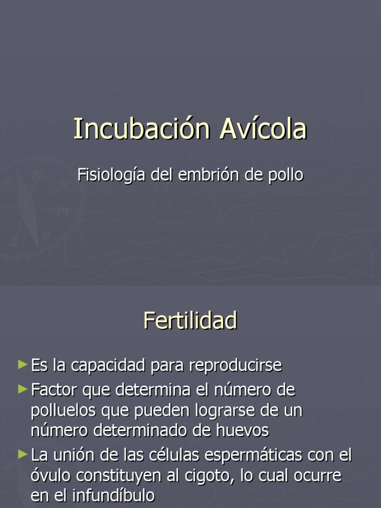 2da Clase Fisiología Del Embrión de Pollo | Descargar gratis PDF ...