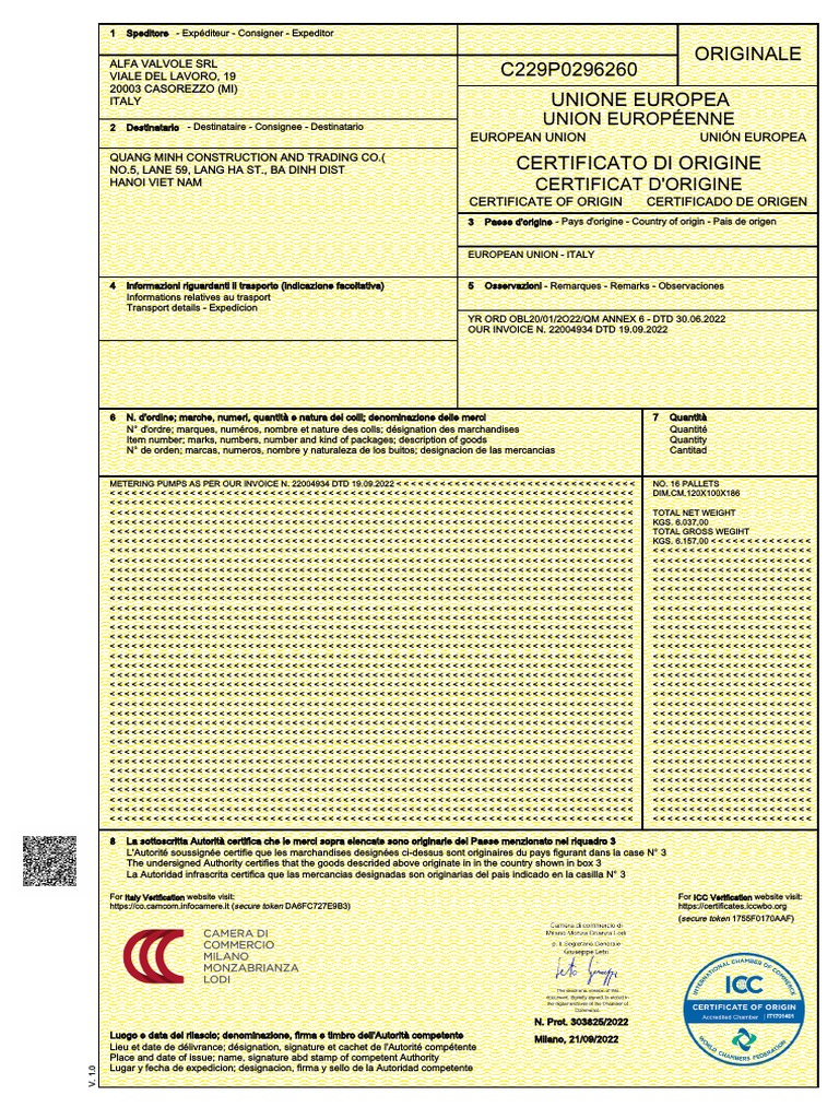 Originale C229P0296260 Unione Europea Certificato Di Origine | PDF