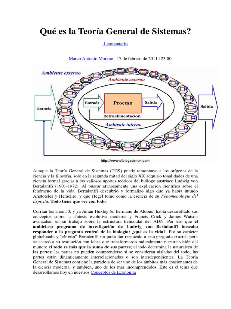 Qué Es La Teoría General de Sistemas | PDF | Teoría de sistemas | Sistema
