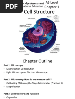 Cell structure A level biology notes | PDF
