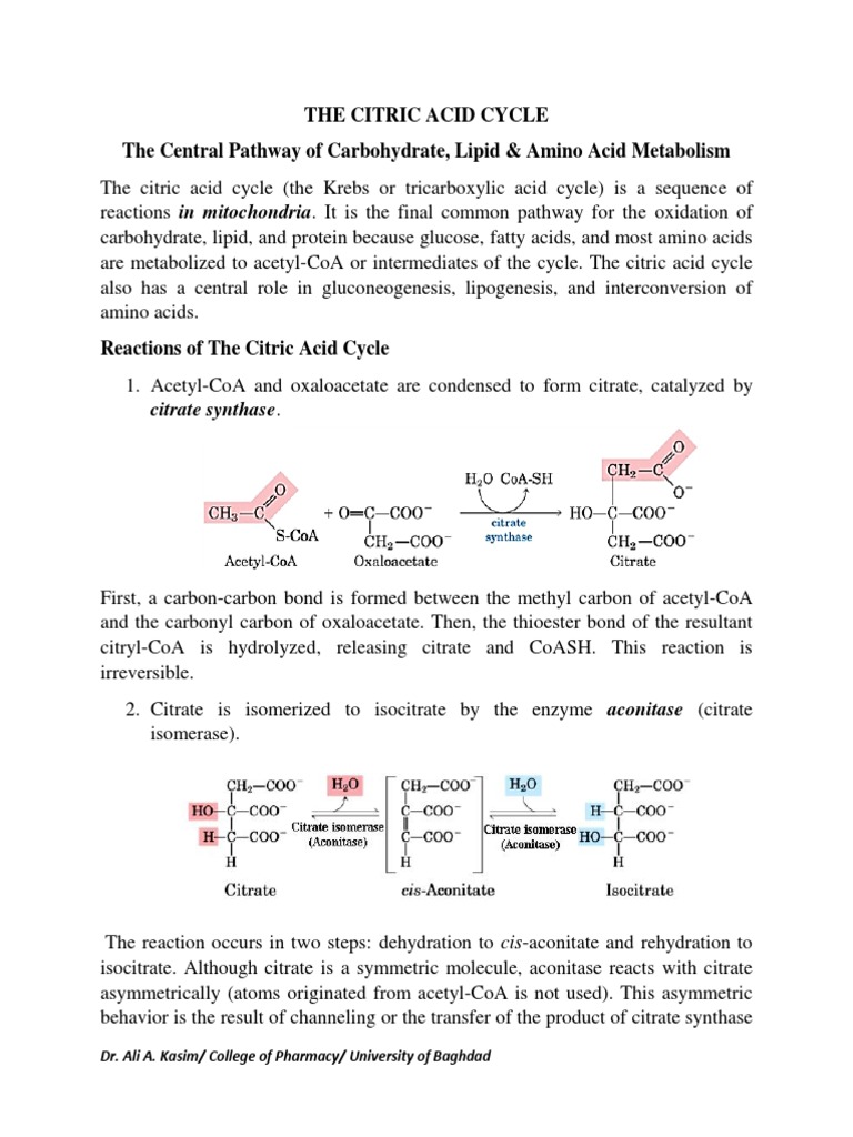 3.the Citric Acid Cycle | PDF | Chemistry | Citric Acid Cycle