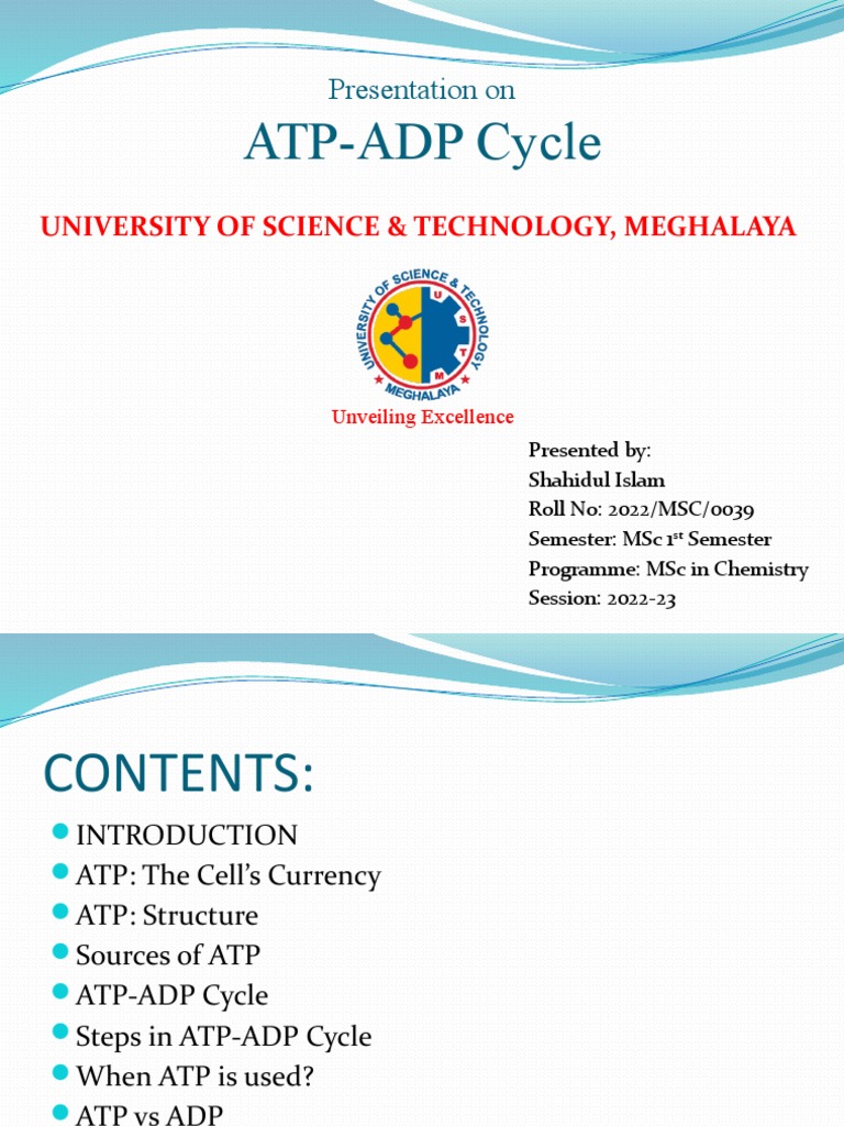 Atp Adp Cycle Pdf Adenosine Diphosphate Adenosine Triphosphate