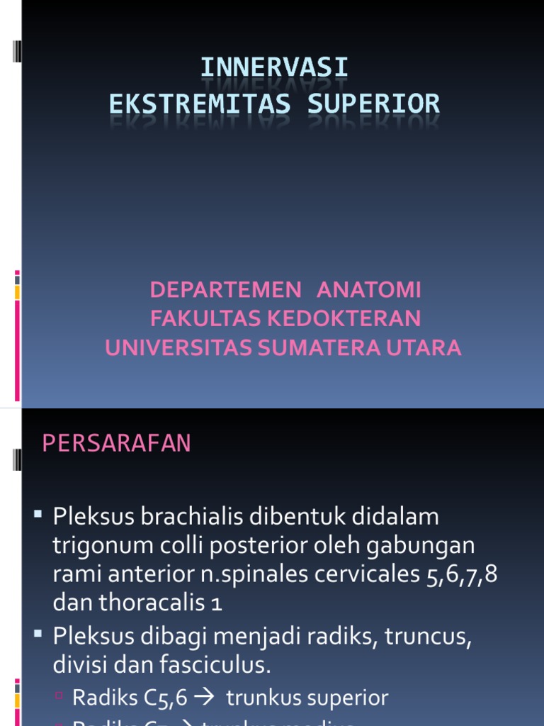 Anatomi Pleksus Brachialis | PDF