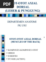 Anatomi Tulang dan Otot Trunk | PDF | Kajian Bahasa Asing