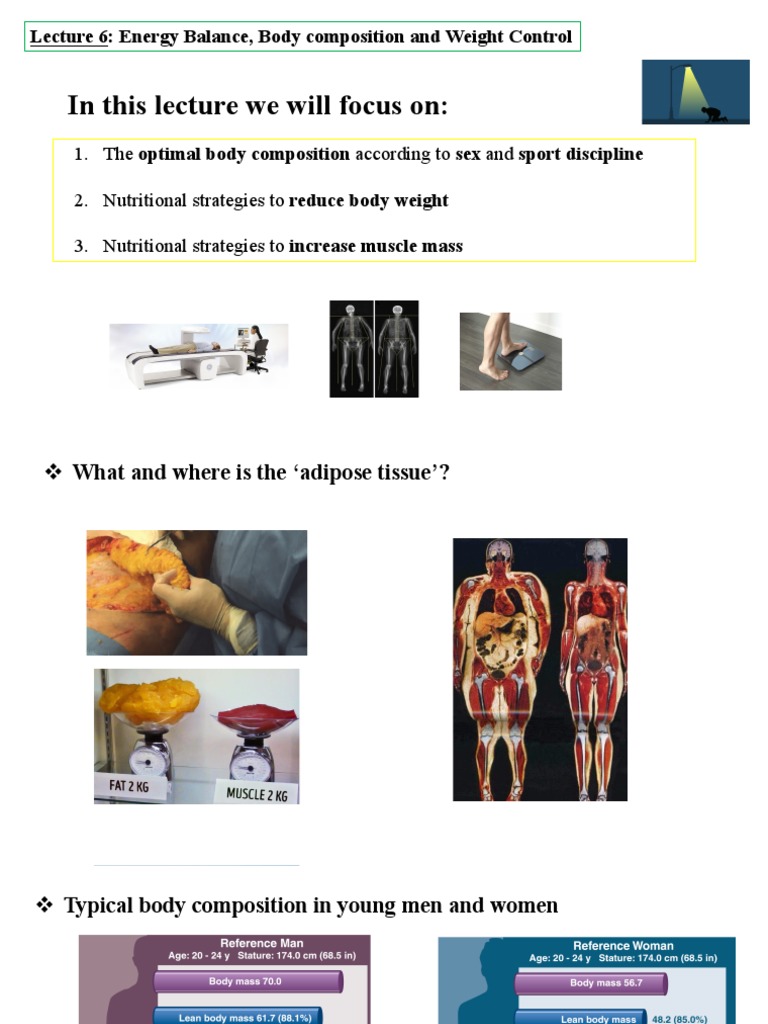 Energy Balance, Body Composition and Weight Control | PDF | Weight Loss | Dieting