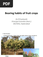 The Ultimate Fruit Flavor Pairing Chart | PDF | Fruit | Clove