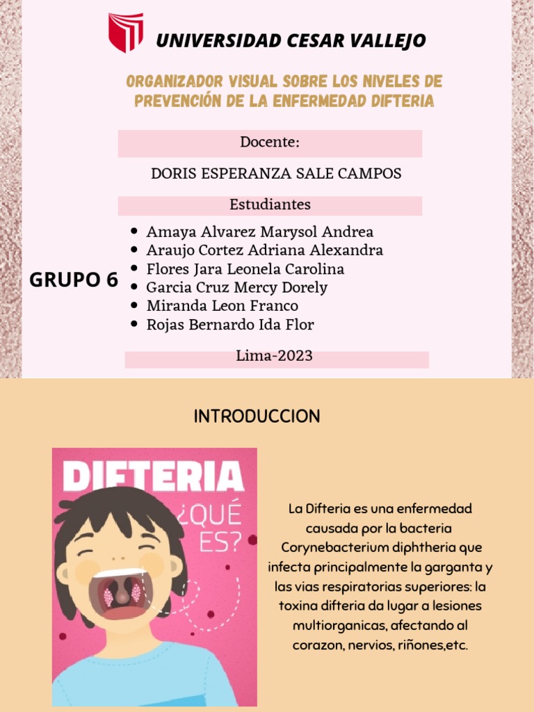 DIFTERIA | PDF | Especialidades Medicas | Epidemiología