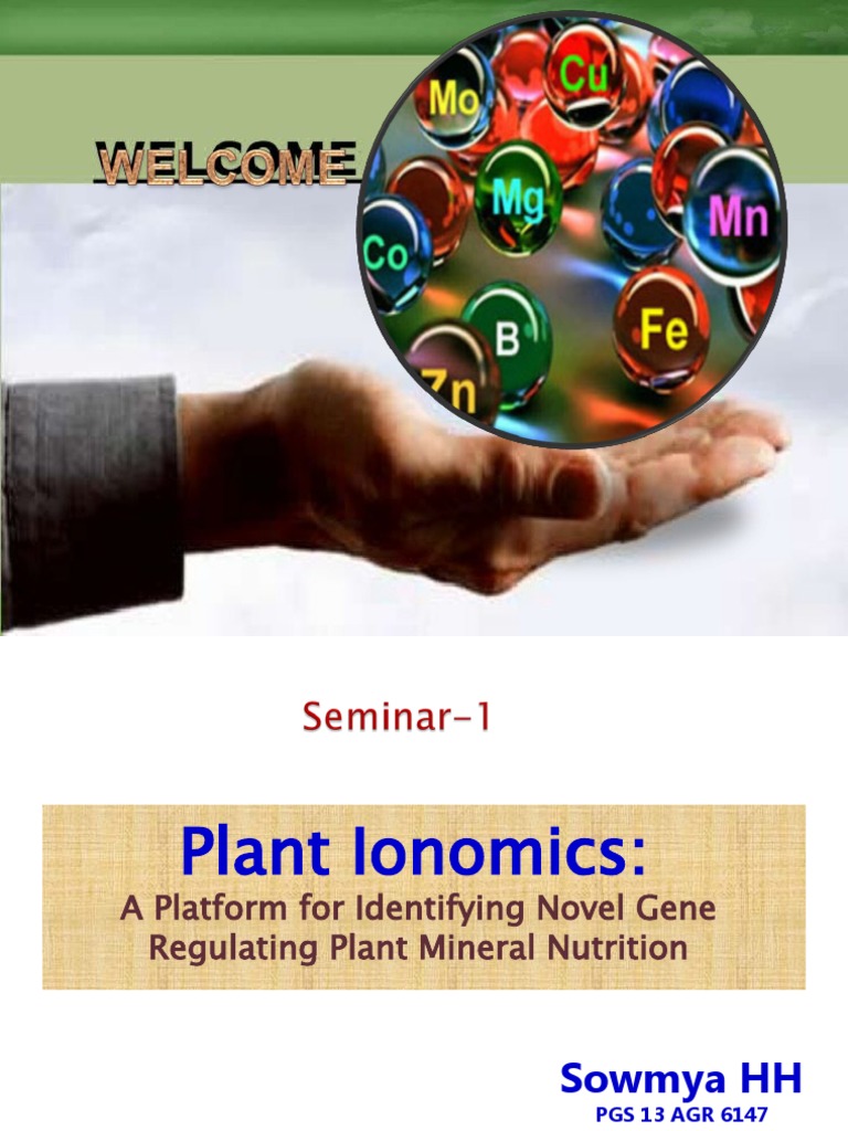 Ionomics | PDF | Leaf | Chemistry