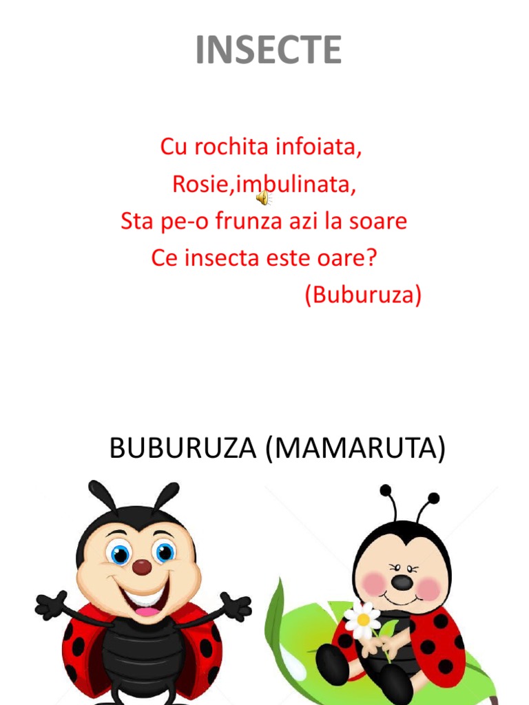 Ghicitori Despre Insecte Prezentare PPT | PDF