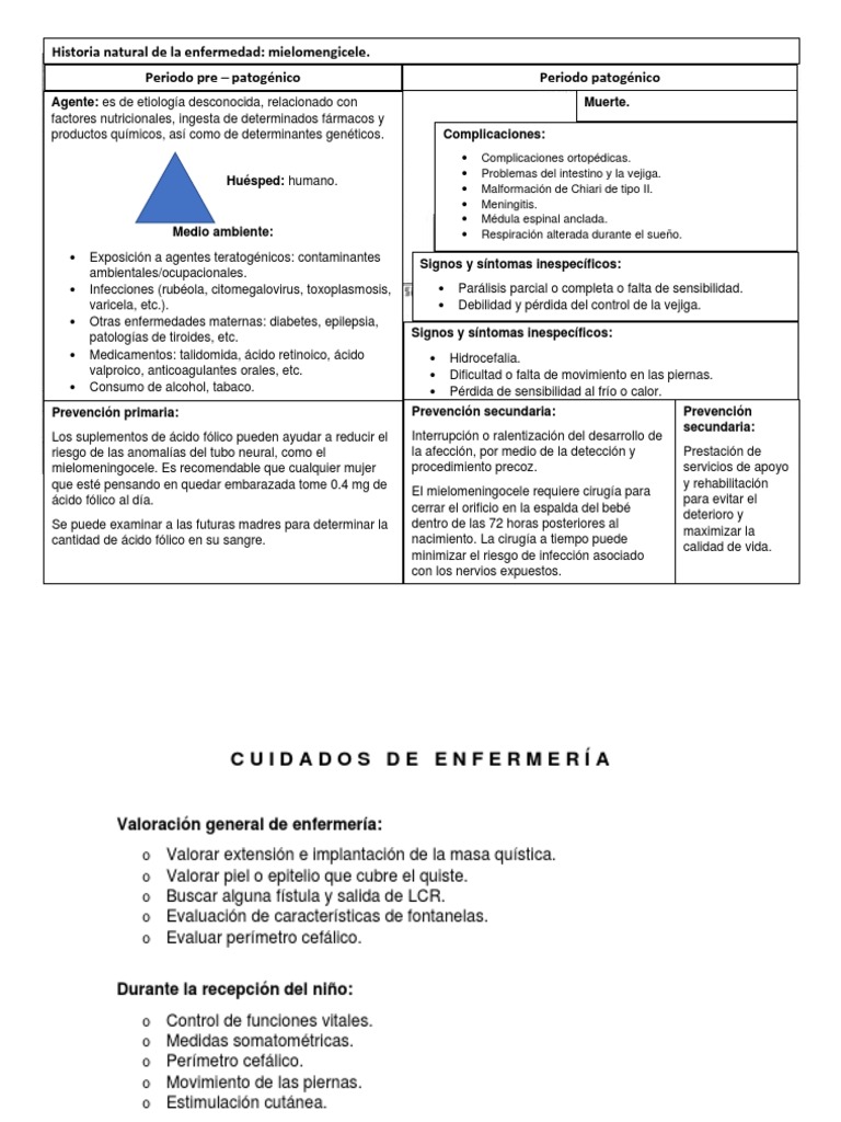 Historia Natural de La Enfermedad: Mielomengicele. Periodo Pre ...