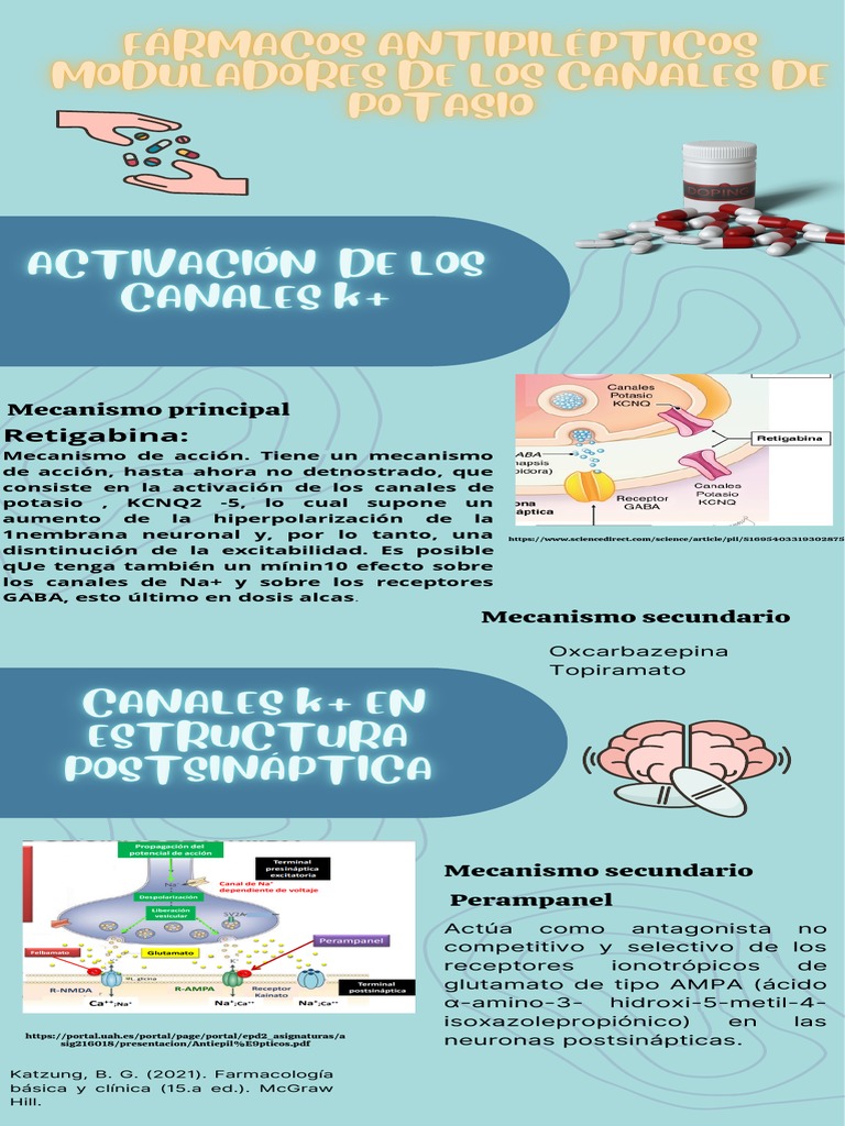 Retigabina:: Mecanismo Principal | PDF