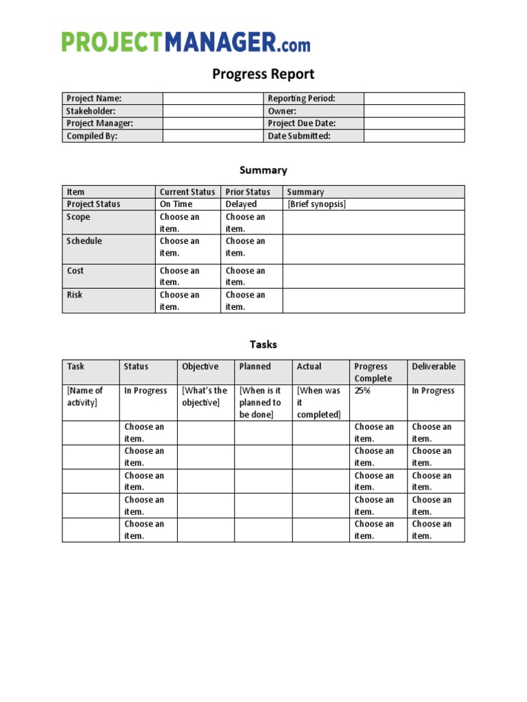 Template For PM | PDF | Business