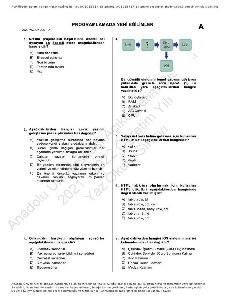 2022 Yaz Okulu | PDF
