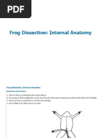 Frog Dissection - Internal Anatomy | PDF