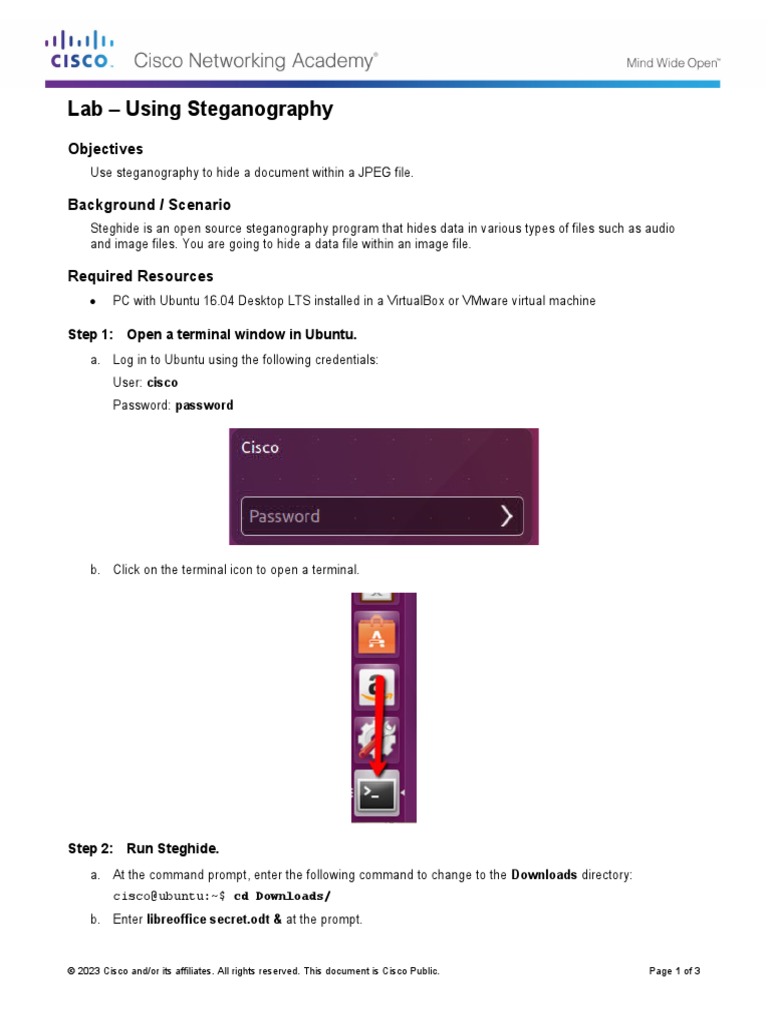 4.3.2.3 Lab - Using Steganography | PDF | Computer File | Software ...