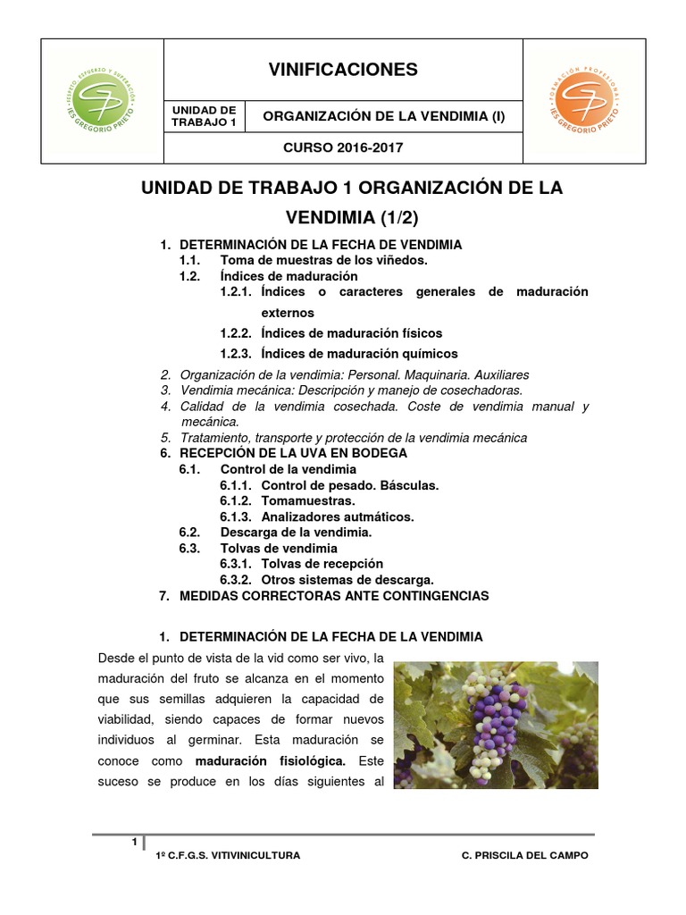 U. T. 1 Organización de la vendimia 1 y 6 | PDF | Vino | Uva
