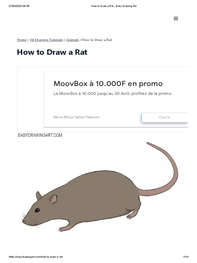 How To Draw A Rat - Easy Drawing Art | Download Free PDF | Rat | Claw