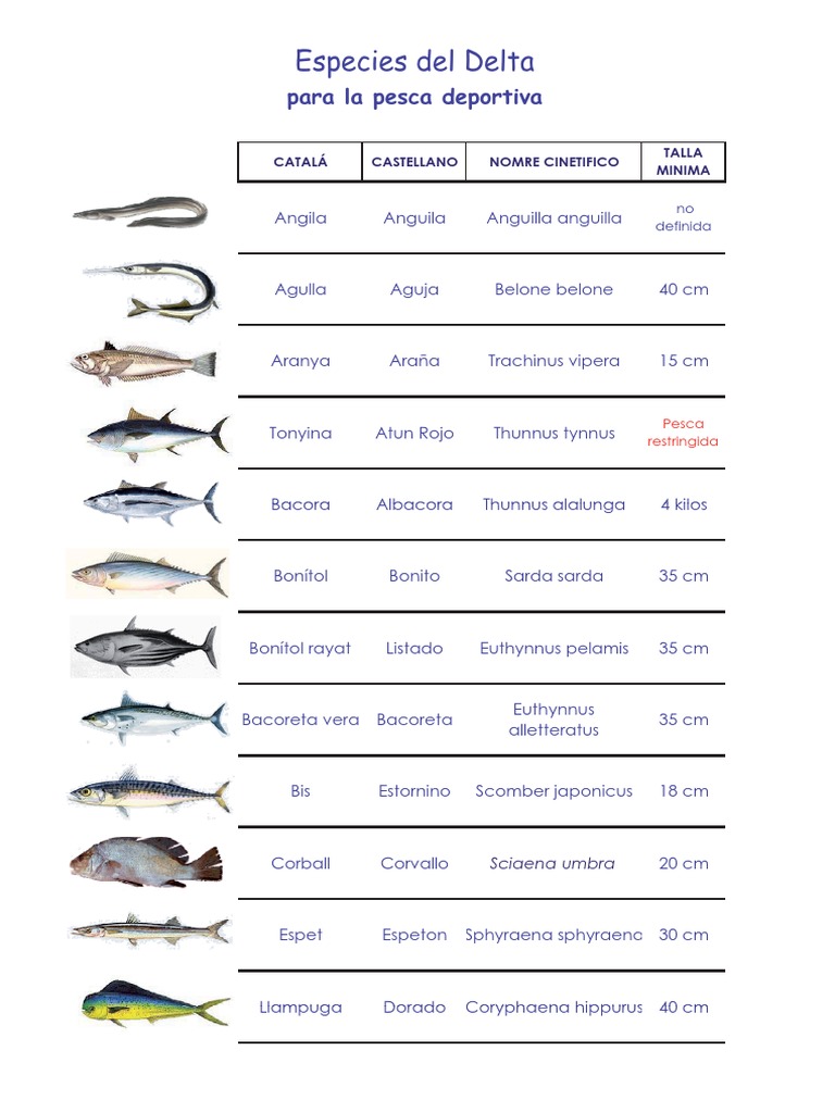 Especies Del Delta: para La Pesca Deportiva | PDF