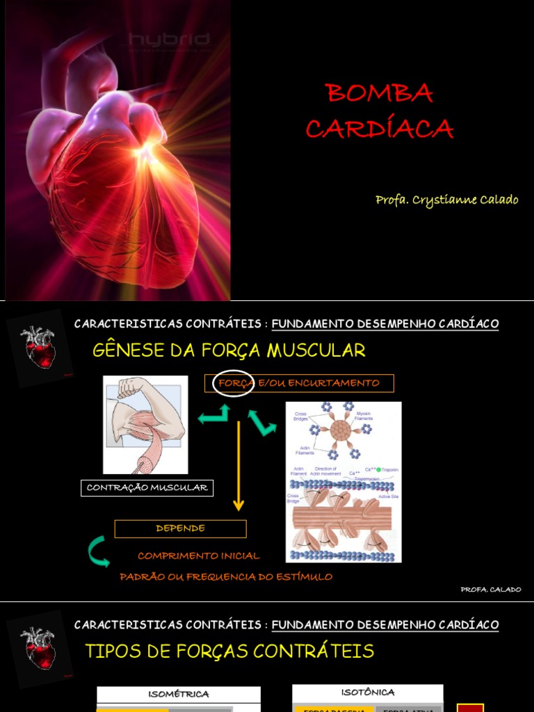 Aula 2 - A Bomba Cardíaca - 2022 | PDF | Ventrículo (coração) | Átrio ...