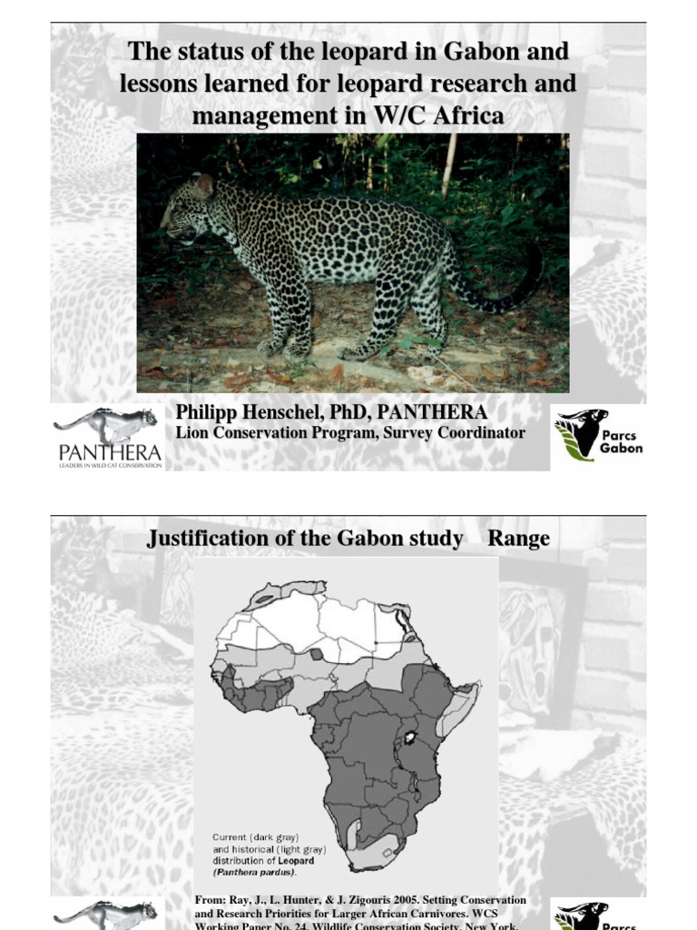 The Status of The Leopard in Gabon and Lessons Learned For Leopard Research and Management in W ...
