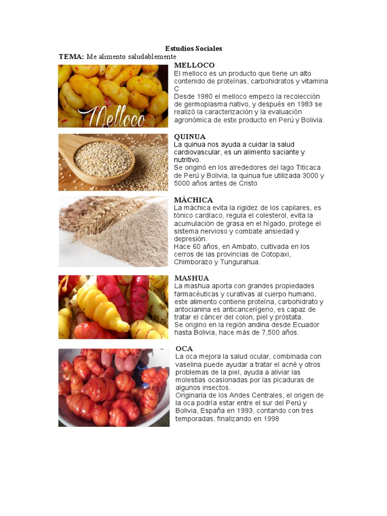 Beneficios del Melloco y Machica en Perú | PDF | Quinua | Nutrición