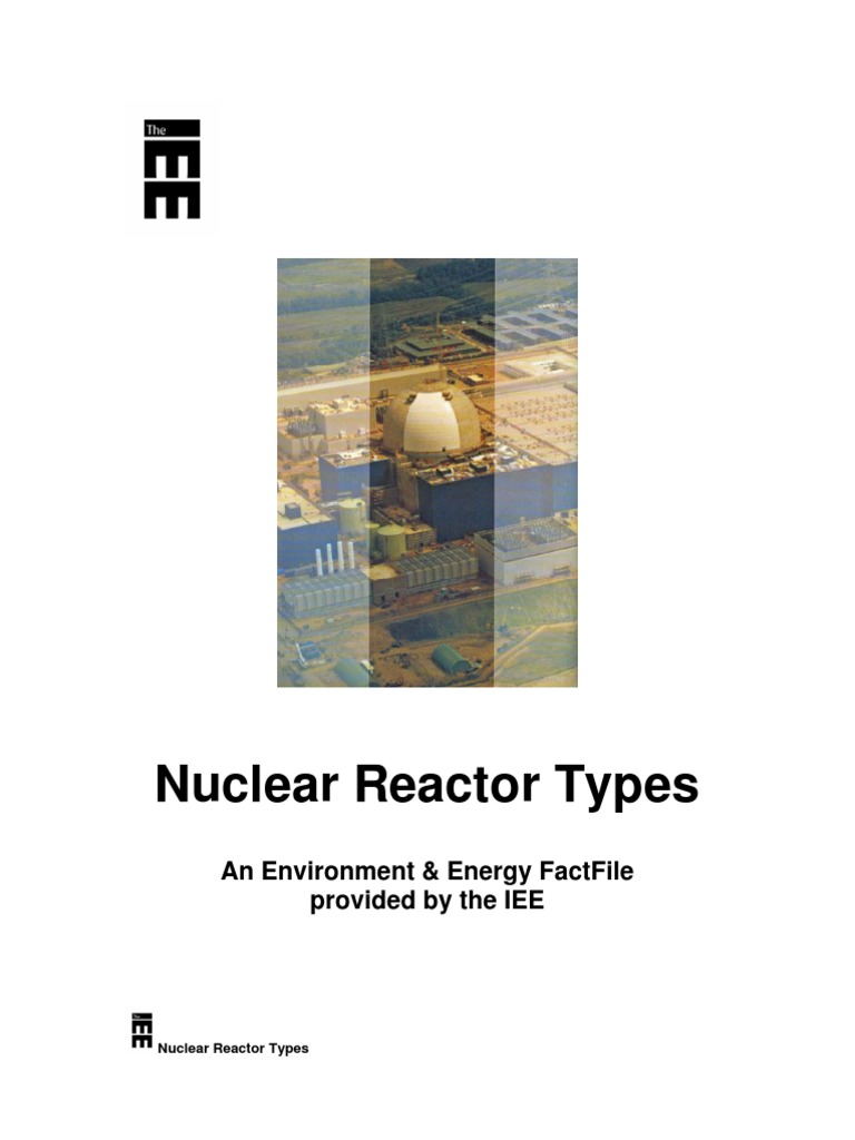 Nuclear Reactors | PDF