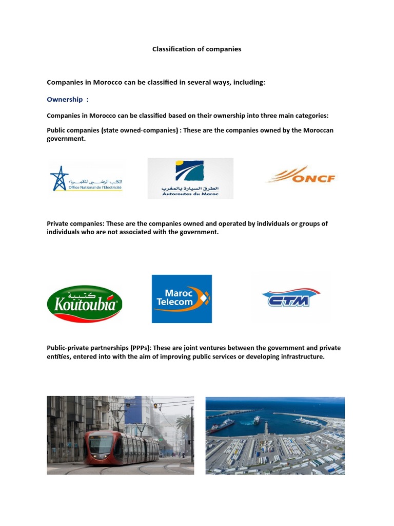 Classification of Companies | PDF