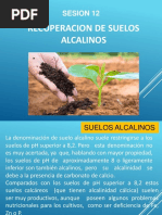 Características del Suelo Gleysol | PDF