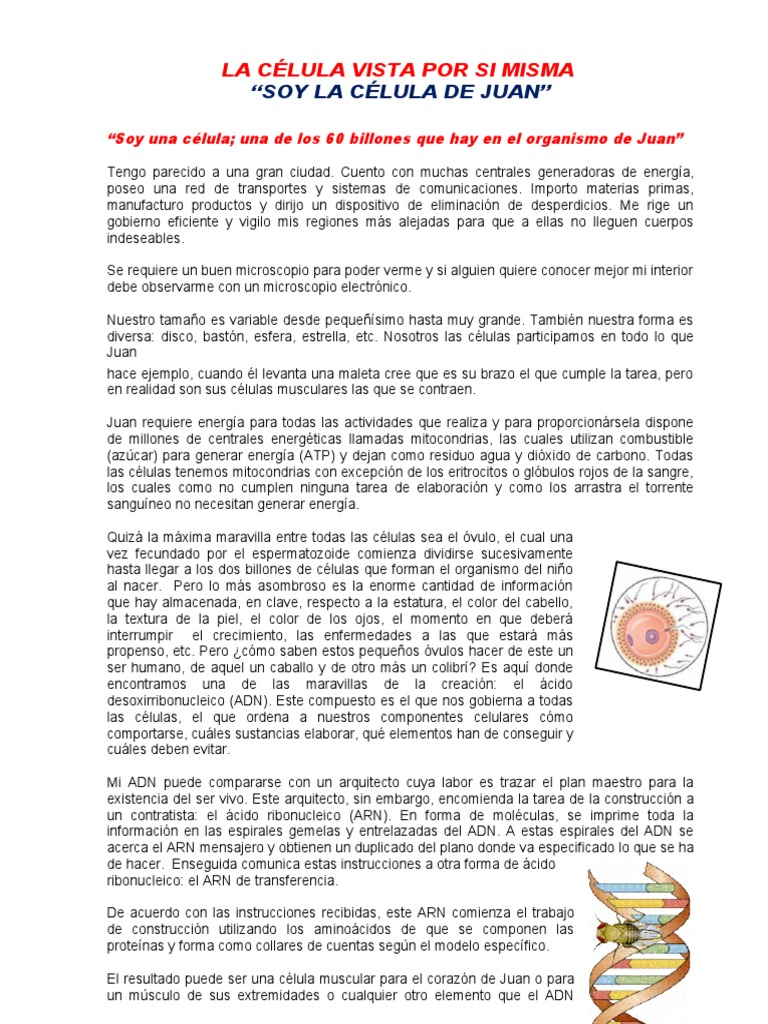 La Célula de Juan - 6 | PDF | Adn | Biología Celular)
